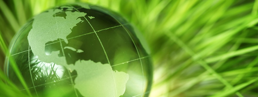 Profile • Vista Environmental Consulting